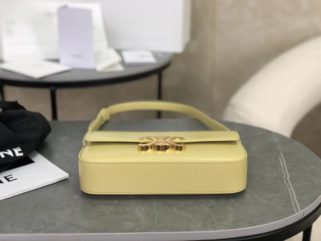 Authentic Celine Triomphe Bags