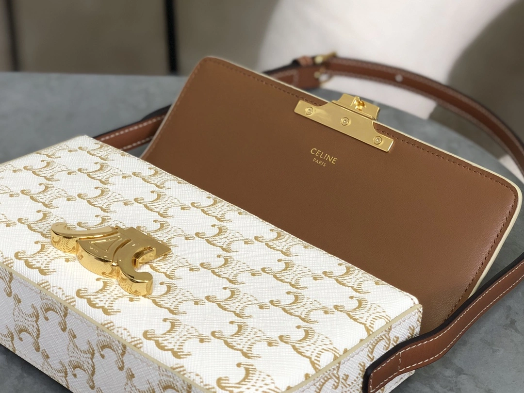 Inexpensive Celine Triomphe Bags