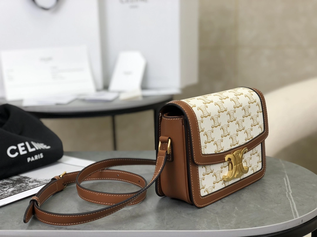 Reasonably priced Celine Triomphe Bags