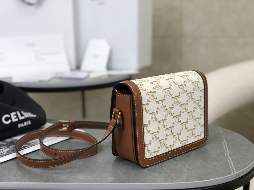 Reasonably priced Celine Triomphe Bags