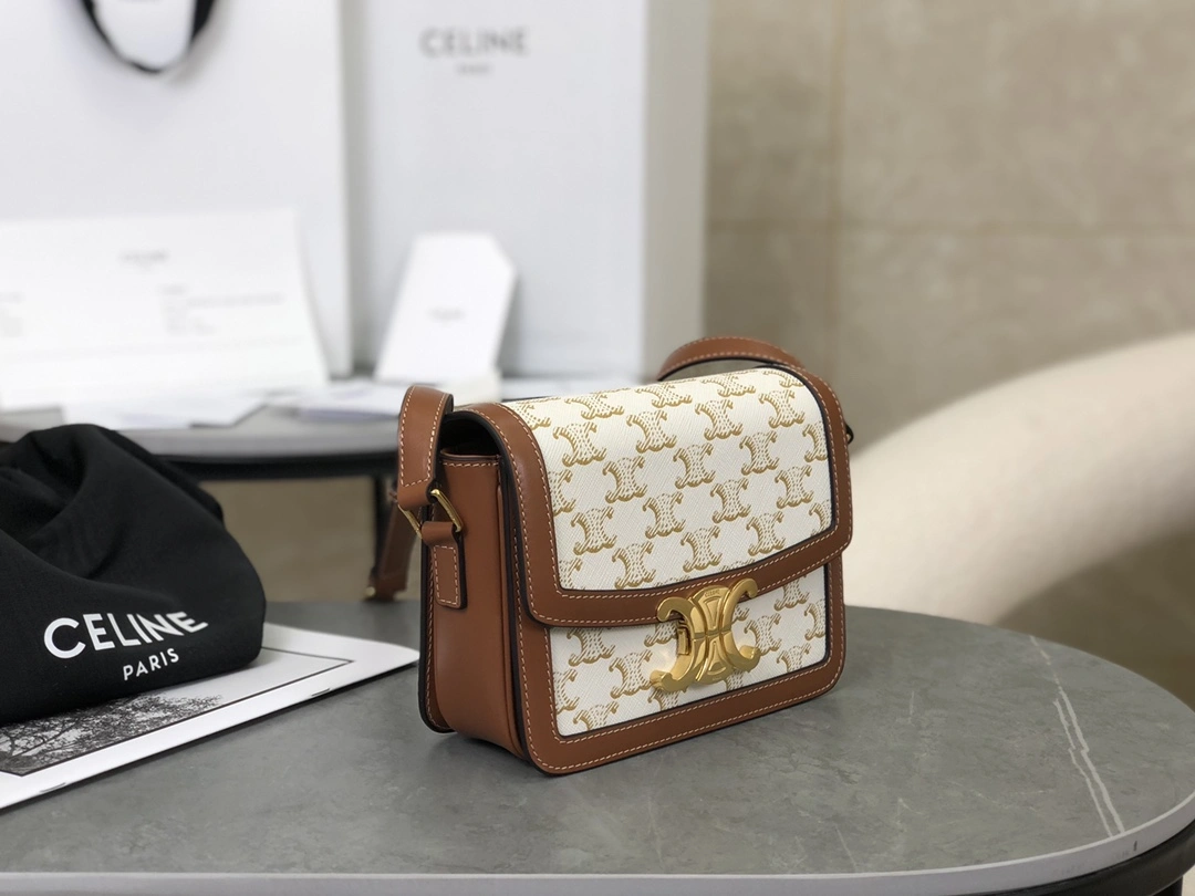 Reasonably priced Celine Triomphe Bags