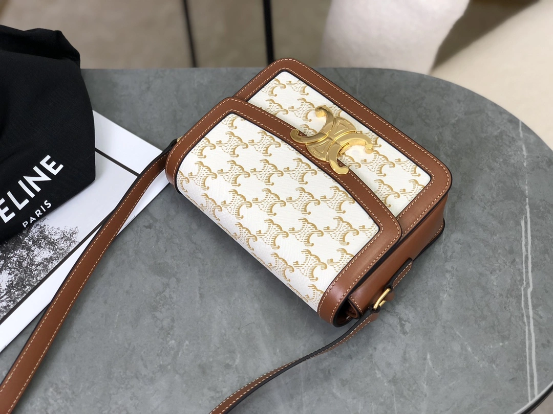 Reasonably priced Celine Triomphe Bags