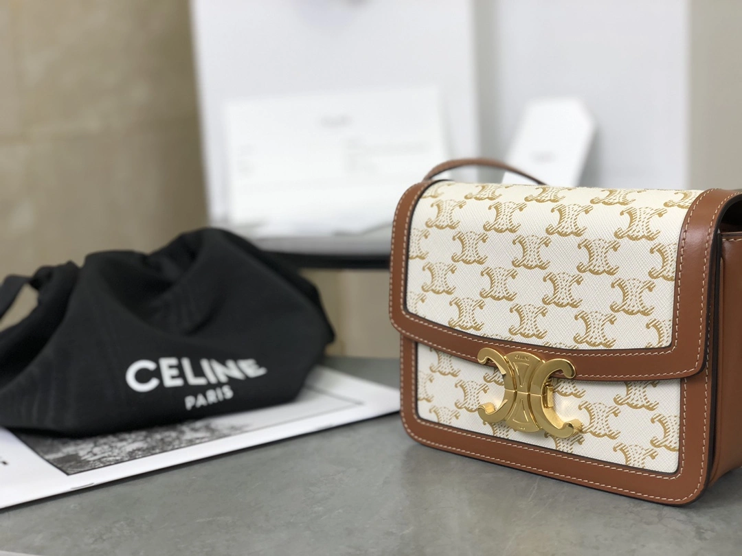Reasonably priced Celine Triomphe Bags