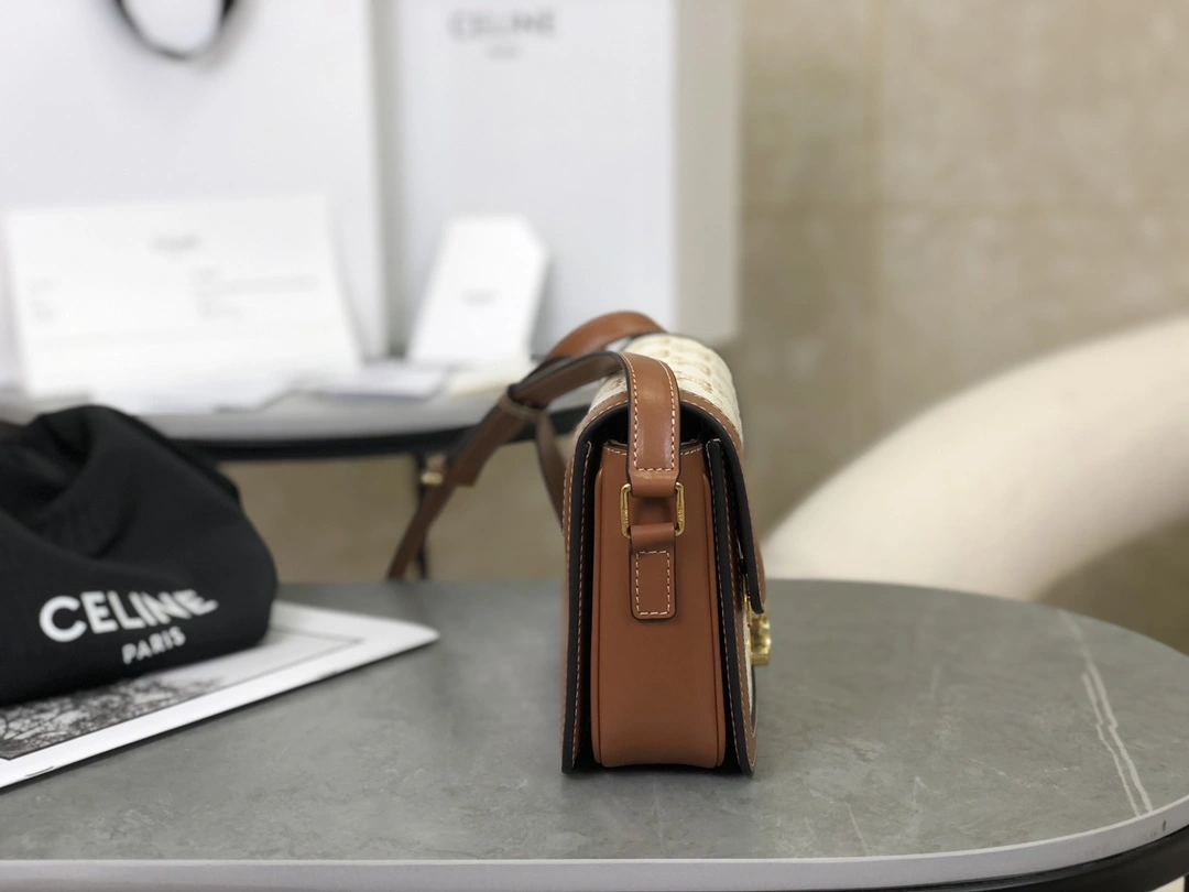Reasonably priced Celine Triomphe Bags