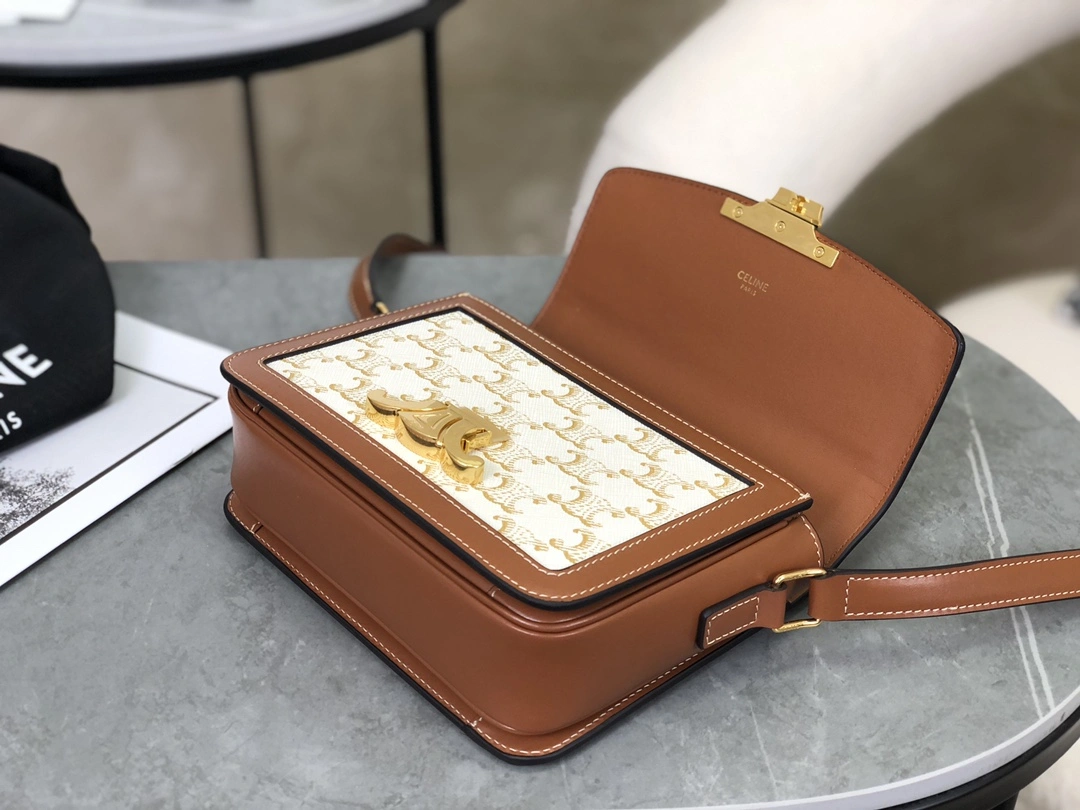 Reasonably priced Celine Triomphe Bags