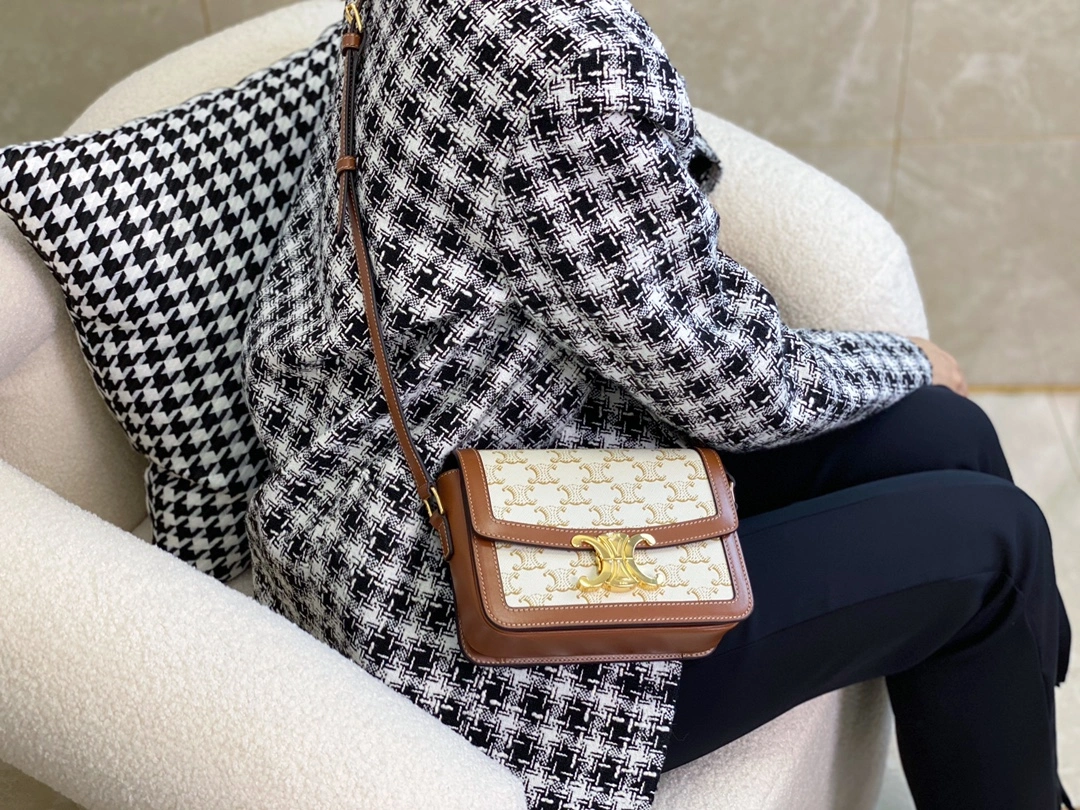 Reasonably priced Celine Triomphe Bags