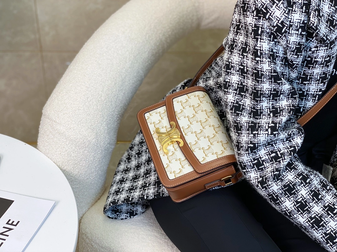 Reasonably priced Celine Triomphe Bags