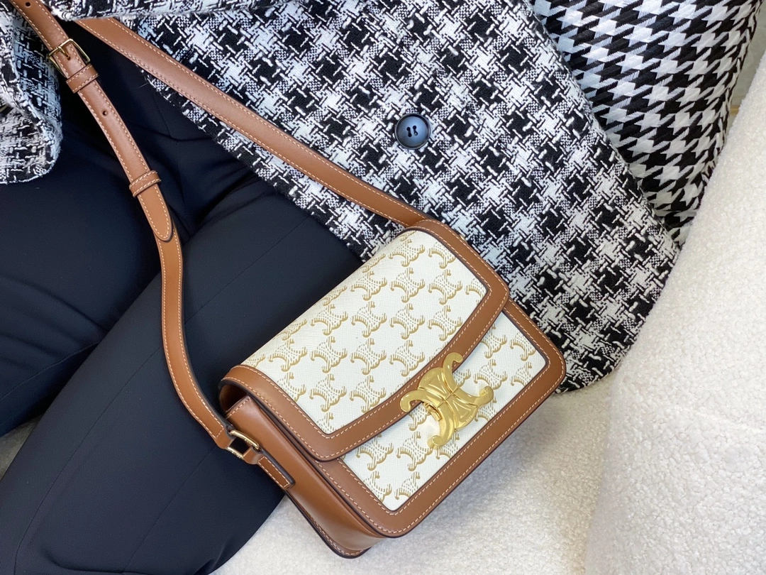 Reasonably priced Celine Triomphe Bags
