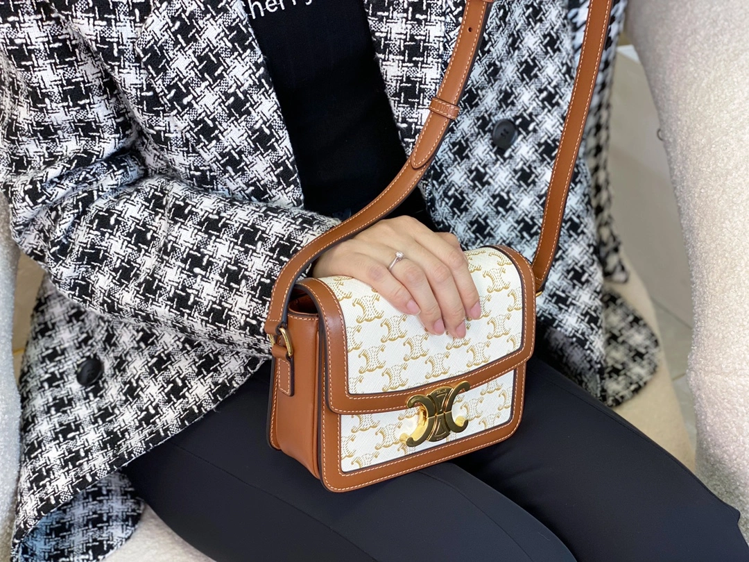 Reasonably priced Celine Triomphe Bags