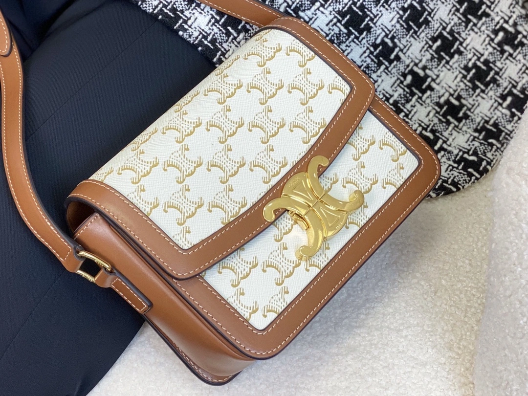 Reasonably priced Celine Triomphe Bags
