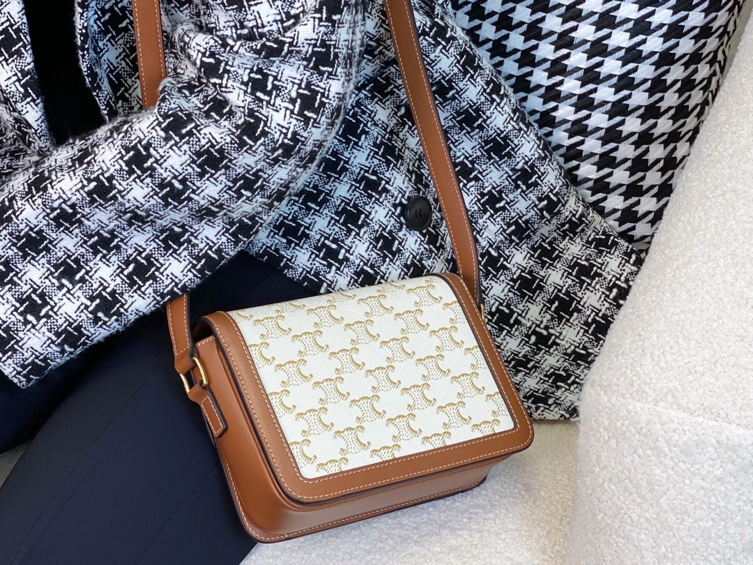 Reasonably priced Celine Triomphe Bags