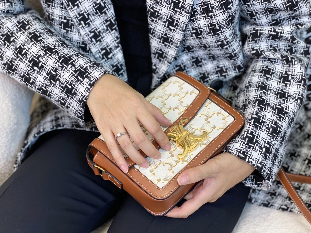 Reasonably priced Celine Triomphe Bags