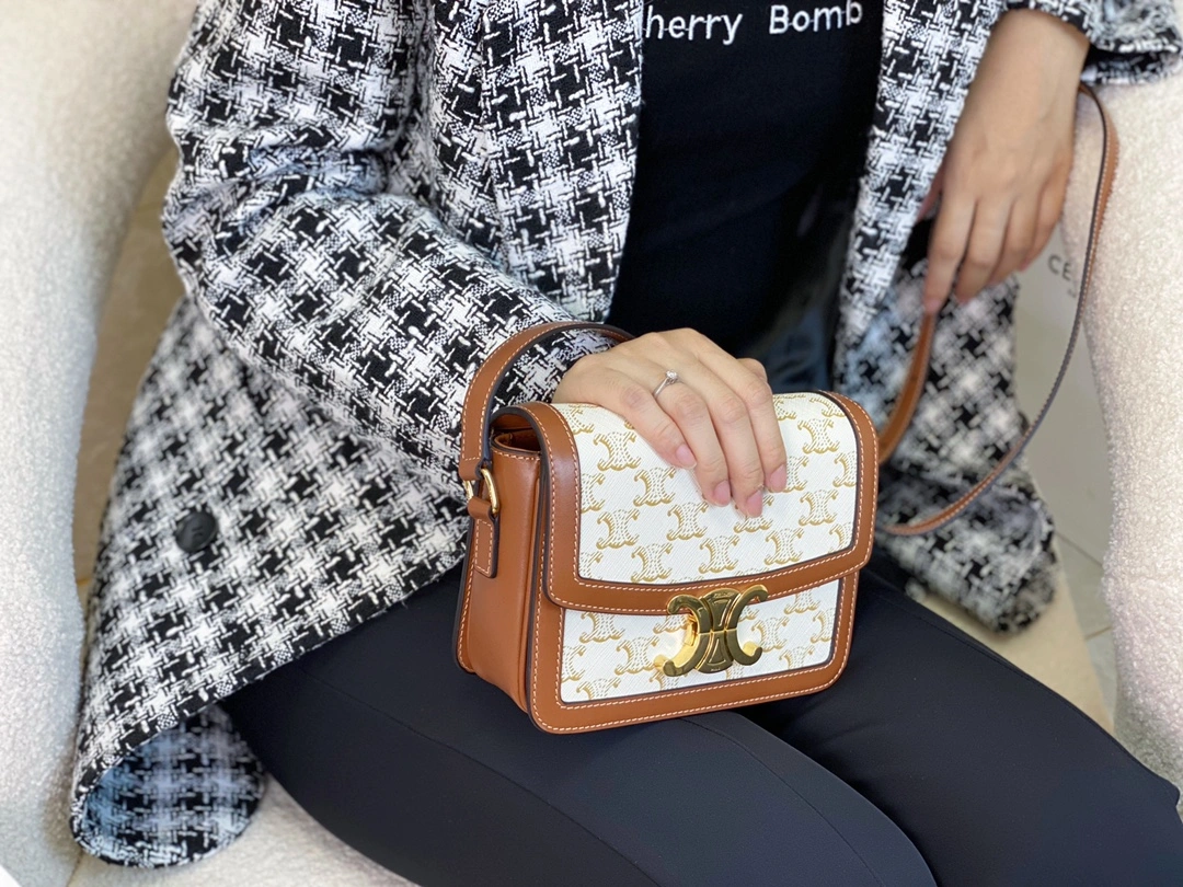 Reasonably priced Celine Triomphe Bags