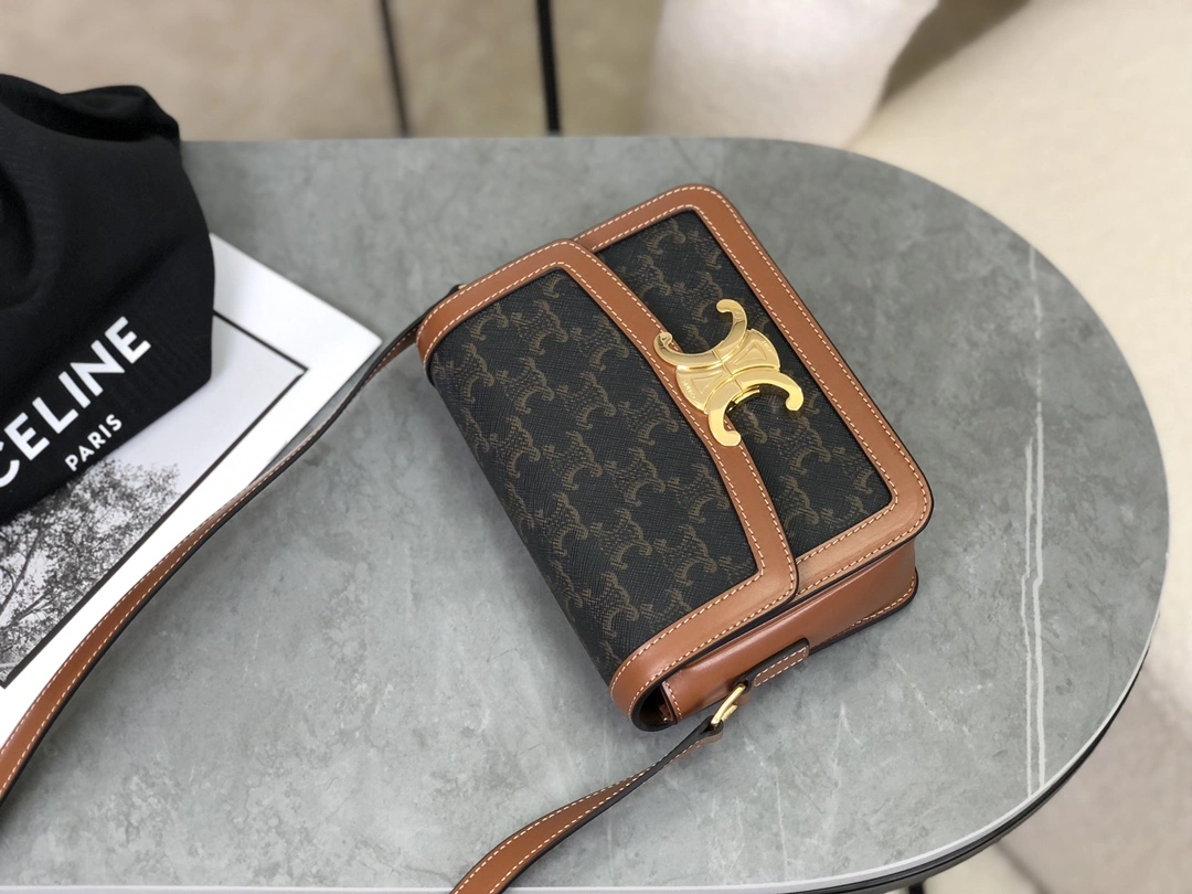 Affordable Celine Triomphe Bags