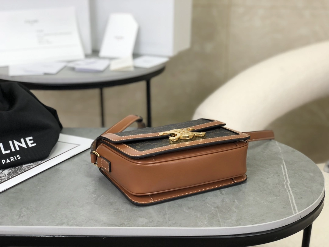 Affordable Celine Triomphe Bags