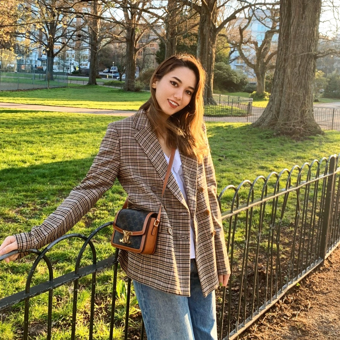 Affordable Celine Triomphe Bags