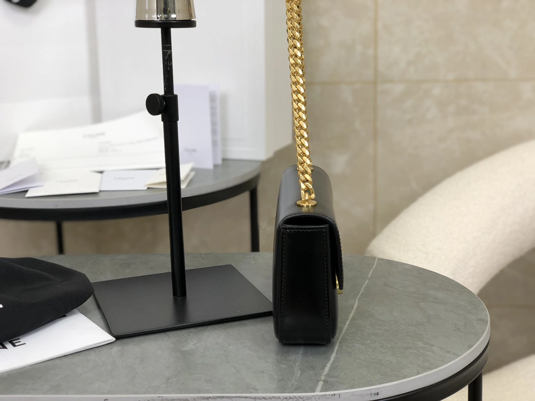 High accuracy Celine Triomphe Bags