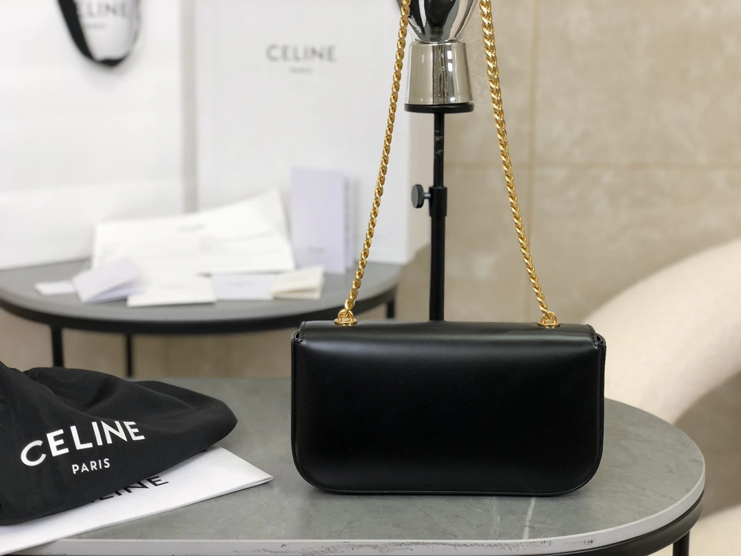 High accuracy Celine Triomphe Bags