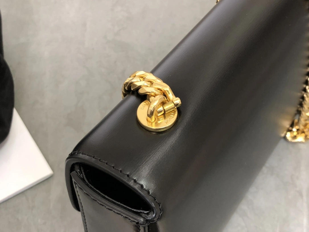 High accuracy Celine Triomphe Bags