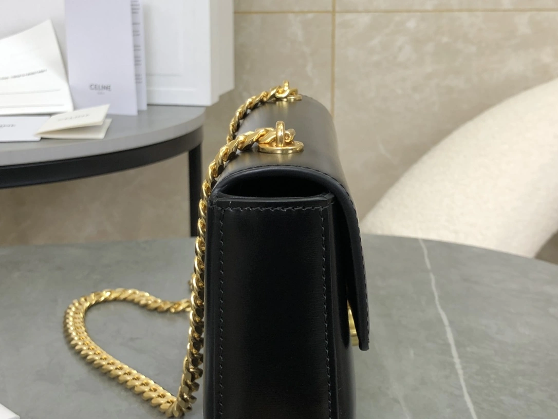 High accuracy Celine Triomphe Bags