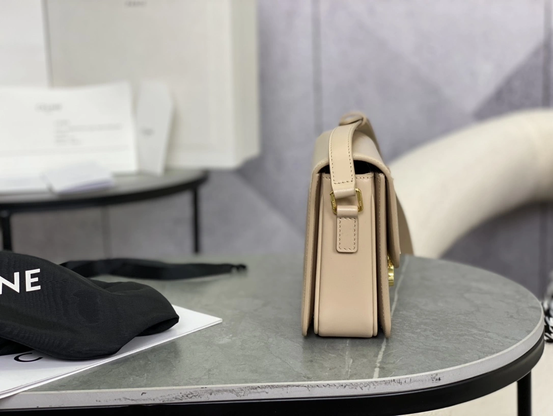 High fidelity Celine Triomphe Bags