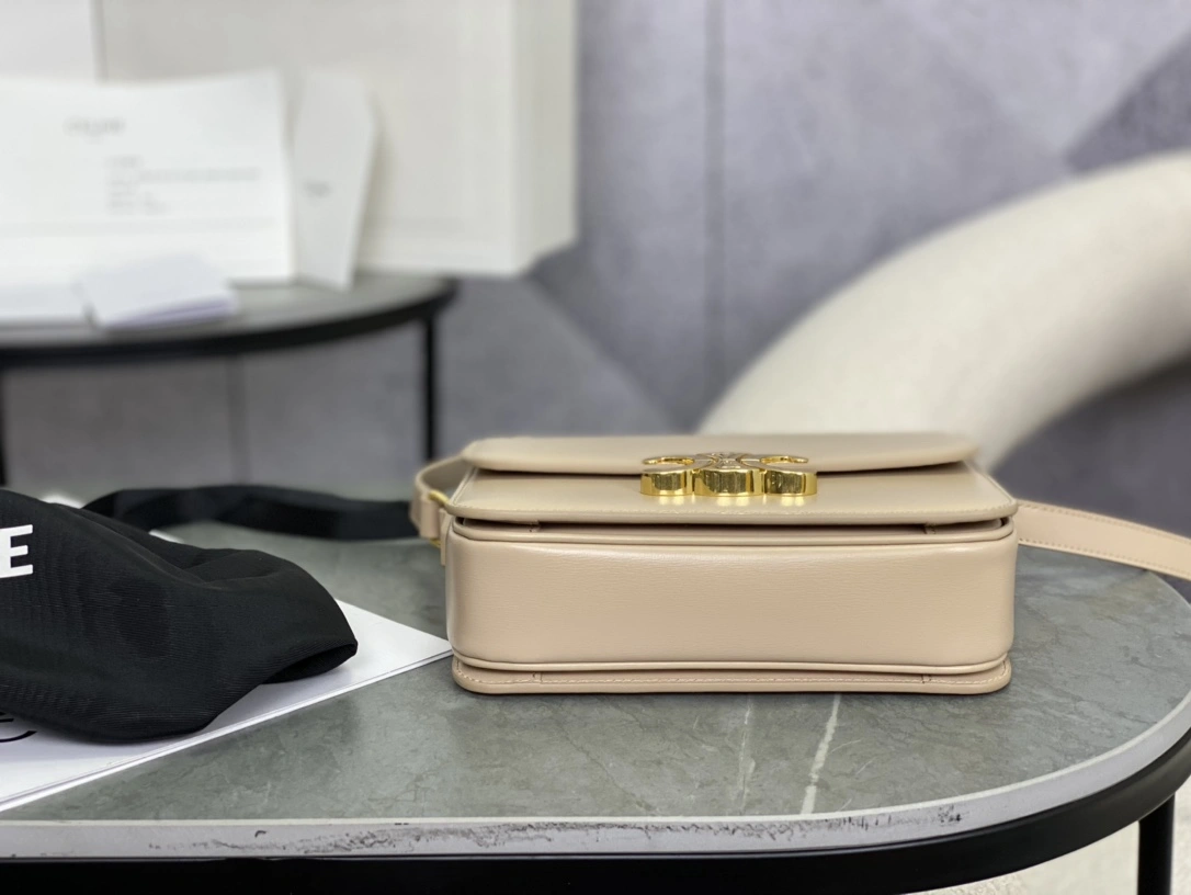 High fidelity Celine Triomphe Bags
