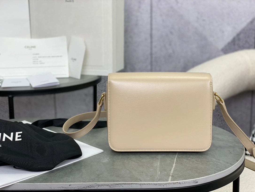 High fidelity Celine Triomphe Bags