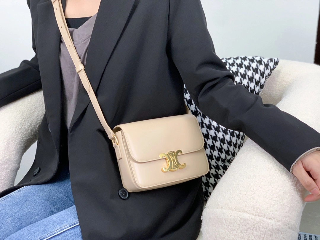 High fidelity Celine Triomphe Bags