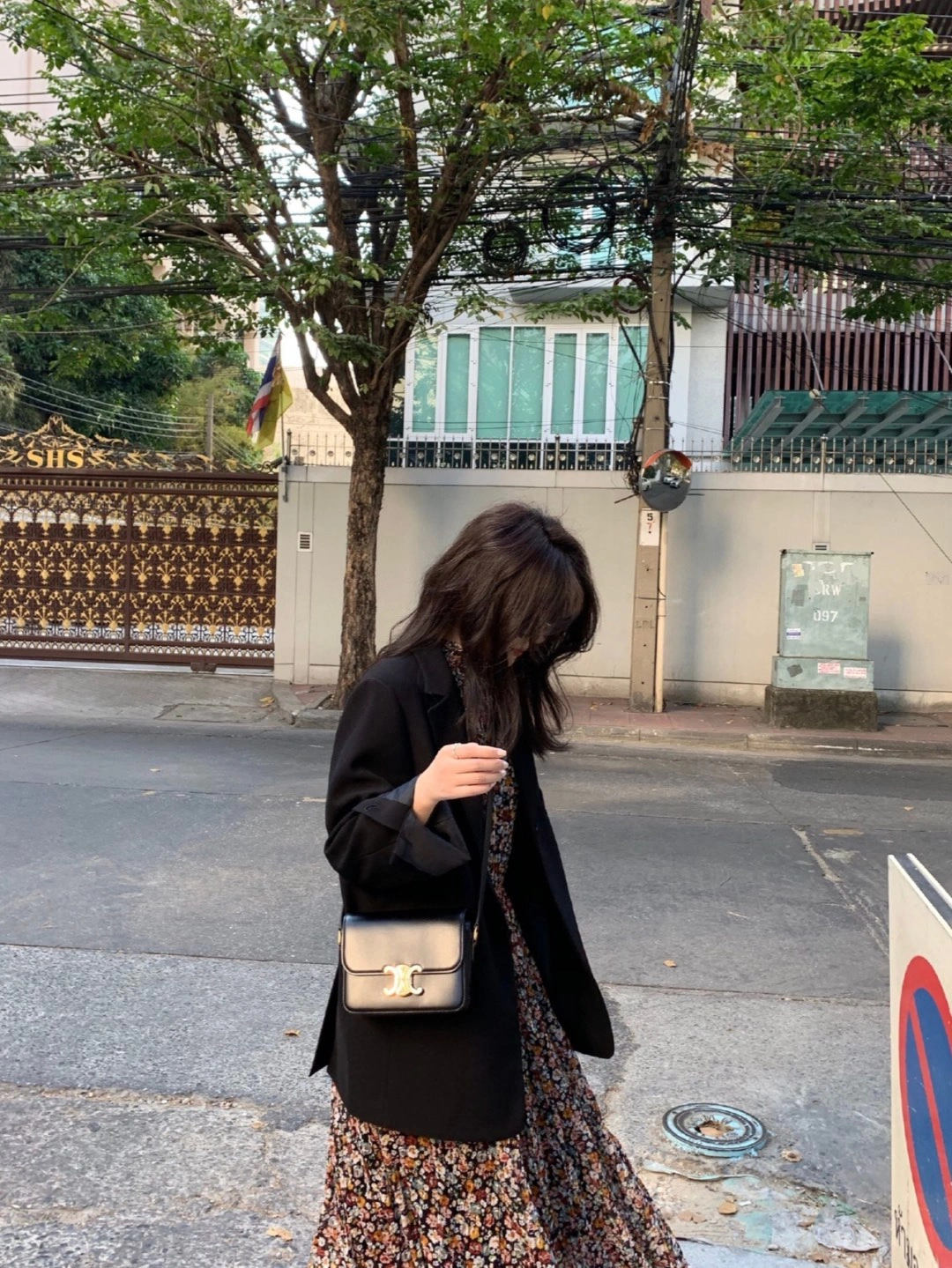 OEM Celine Triomphe Bags