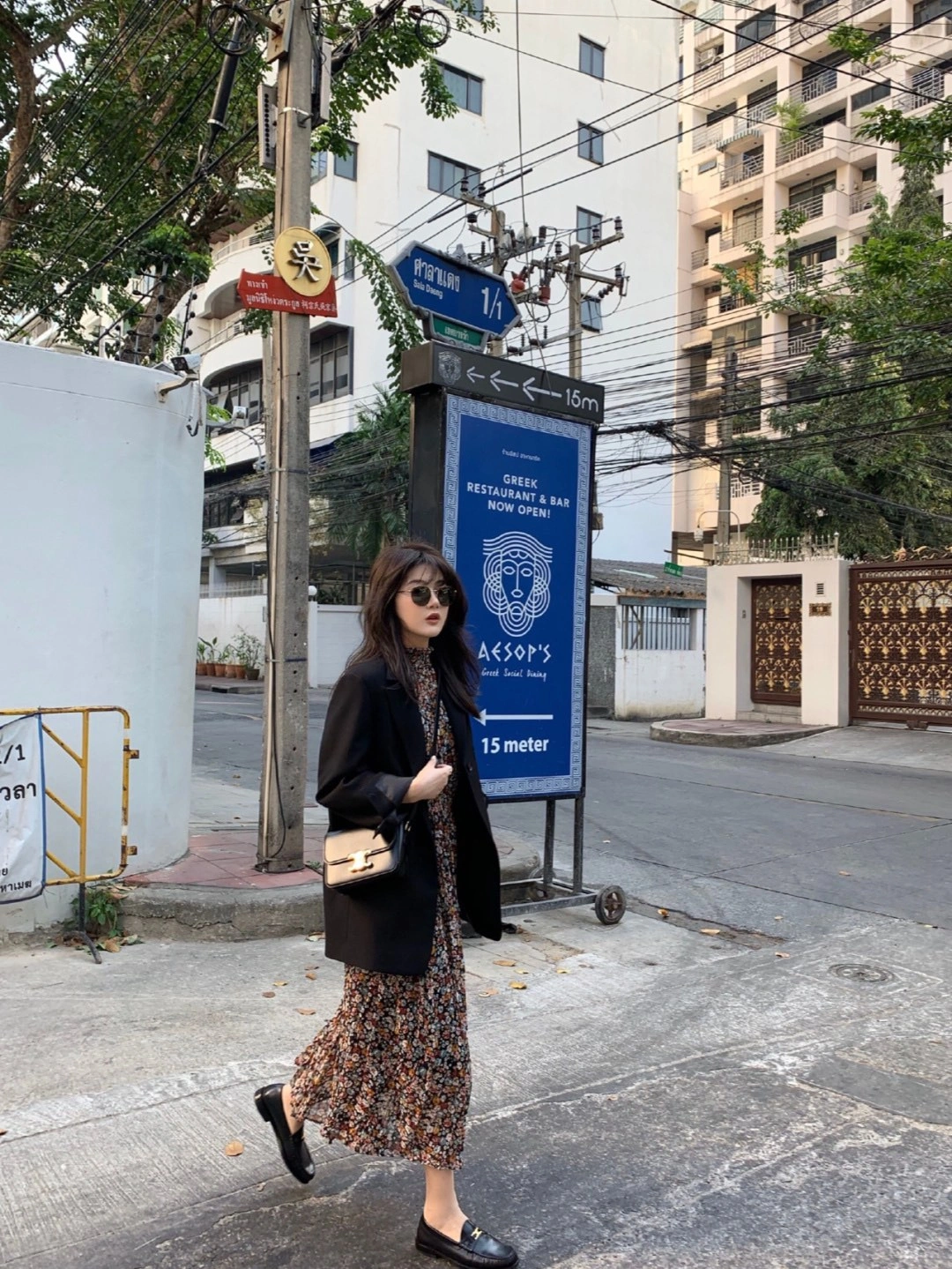 OEM Celine Triomphe Bags