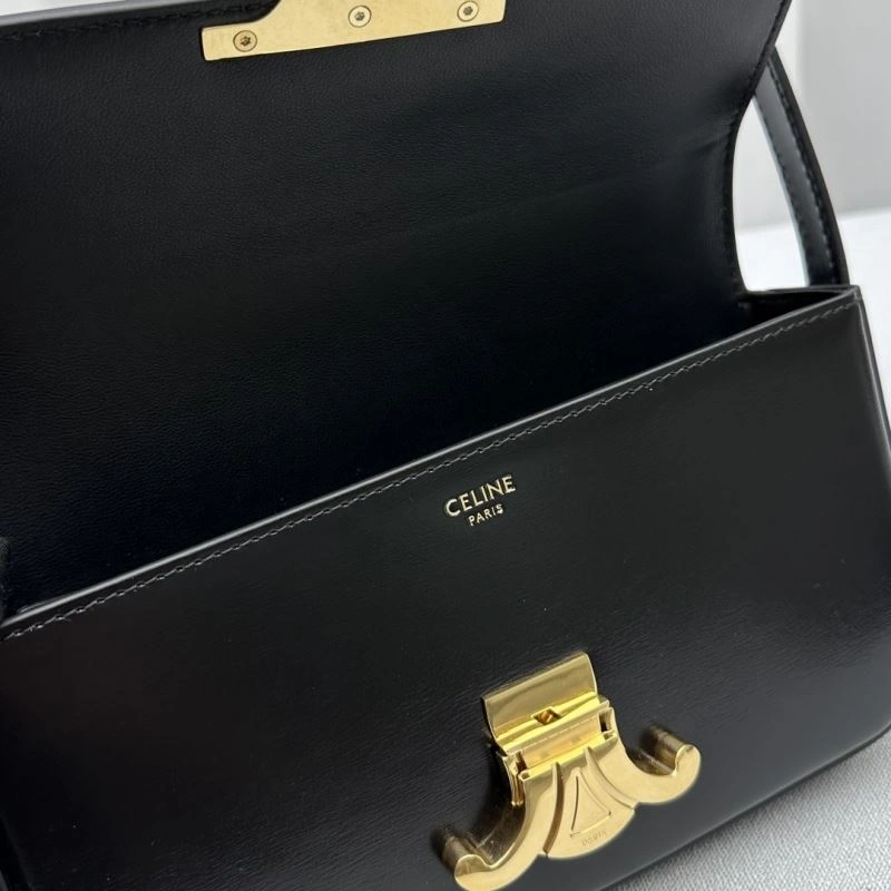 High accuracy Celine Triomphe Bags
