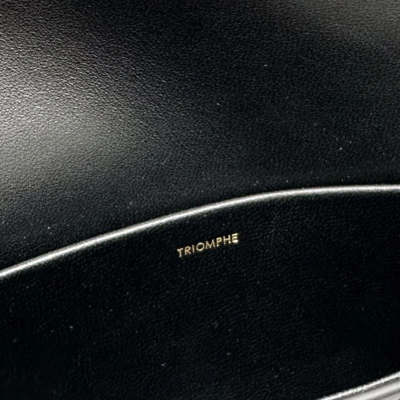 High accuracy Celine Triomphe Bags