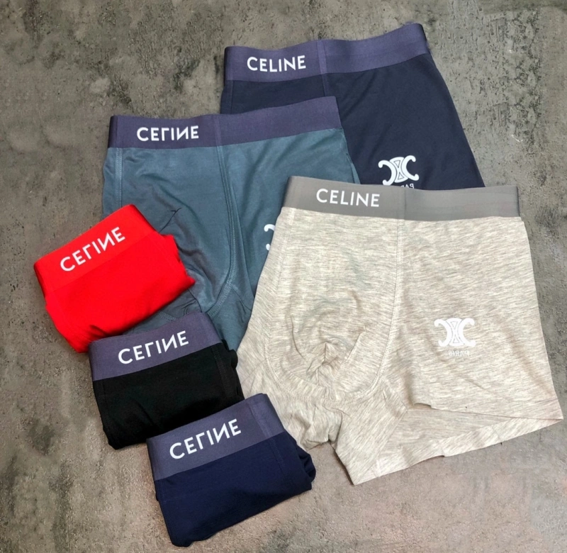 Inexpensive Celine Underwear