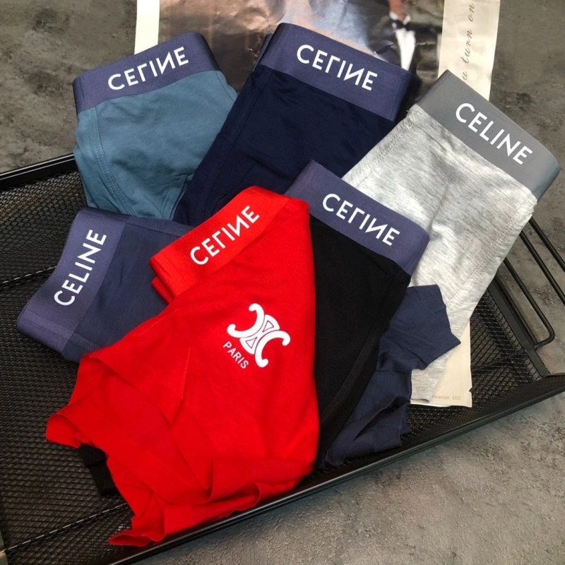 Inexpensive Celine Underwear