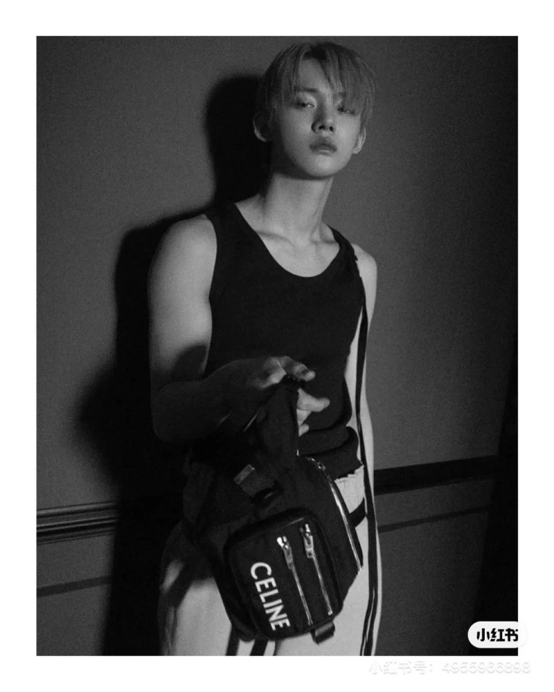 Budget-friendly Celine Waist Chest Packs