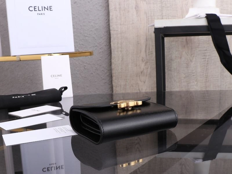 Reasonably priced Celine Wallets Purse