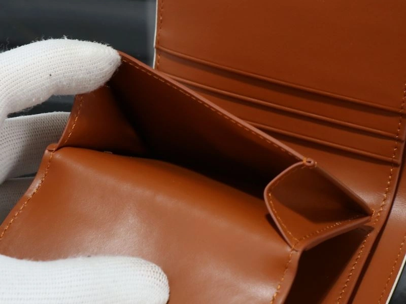 Accurate model Celine Wallets Purse