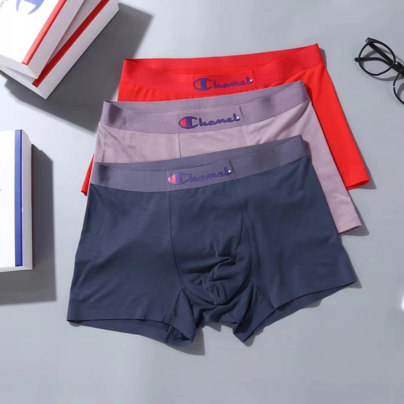 Champion Underwear