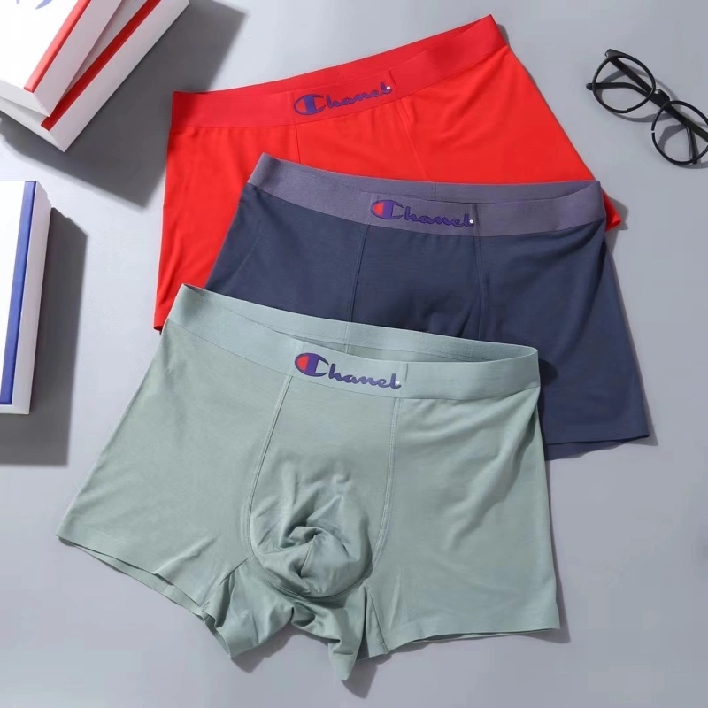Affordable Champion Underwear