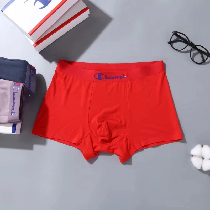 Affordable Champion Underwear