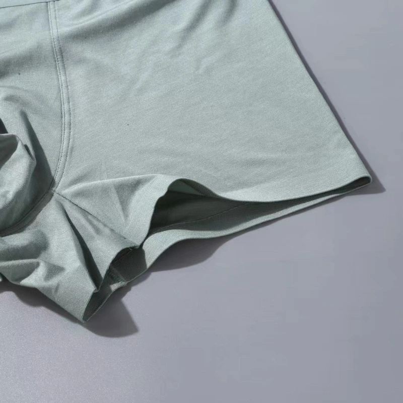 Affordable Champion Underwear