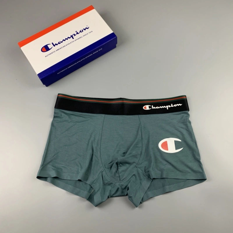 Value-priced Champion Underwear