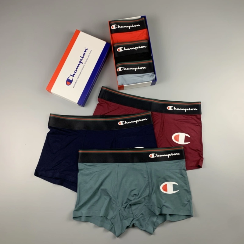 Value-priced Champion Underwear