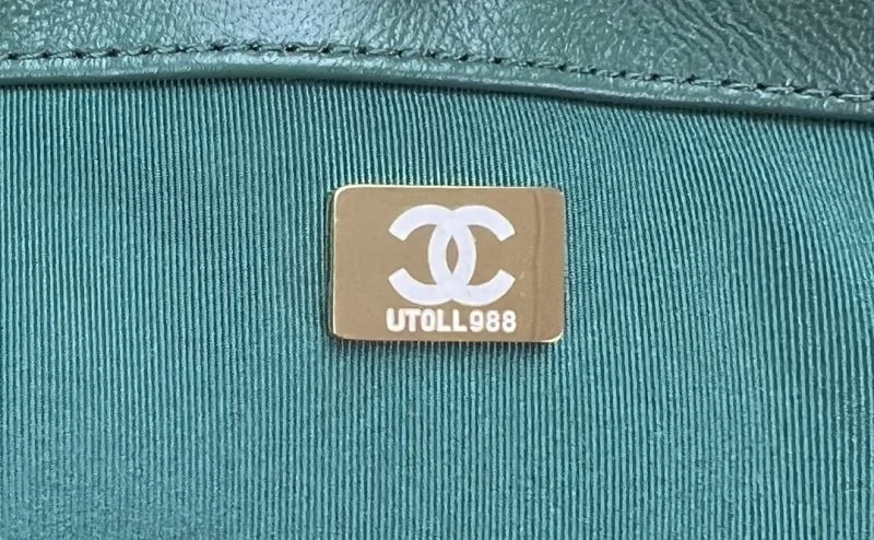 Bargain Chanel 19 Bags