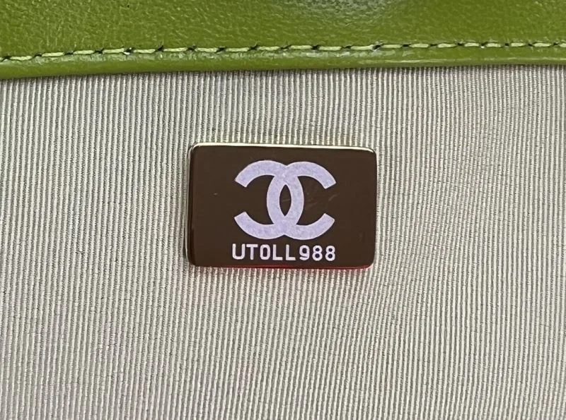 Cut-rate Chanel 19 Bags