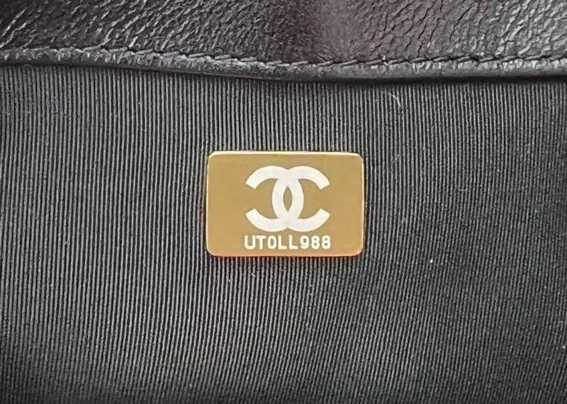Accurate model Chanel 19 Bags