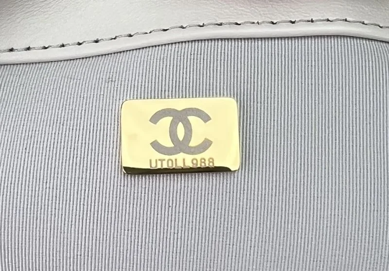 Discounted Chanel 19 Bags