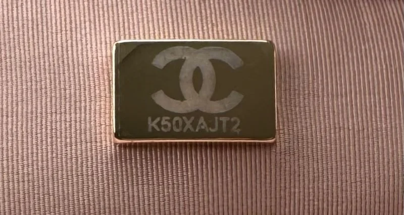 Cut-rate Chanel 19 Bags
