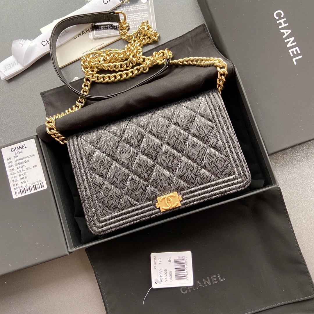 Chanel Boy Series Bags