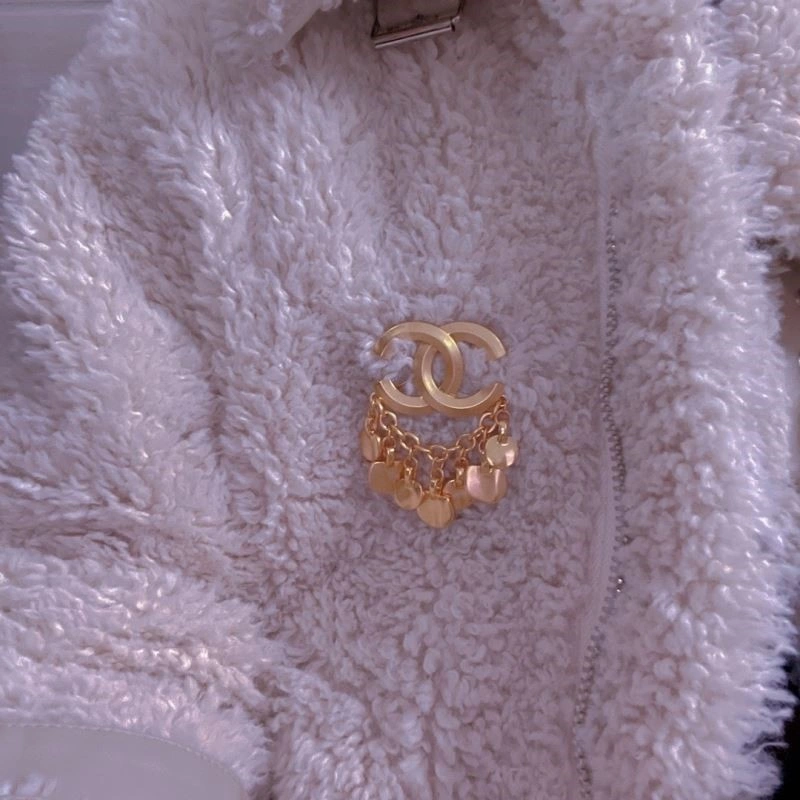 Accurate model Chanel Brooches